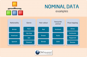 4 Types of Data in Statistics – Definitions, Uses & Examples
