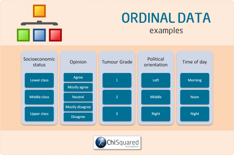 4-types-of-data-in-statistics-definitions-uses-examples